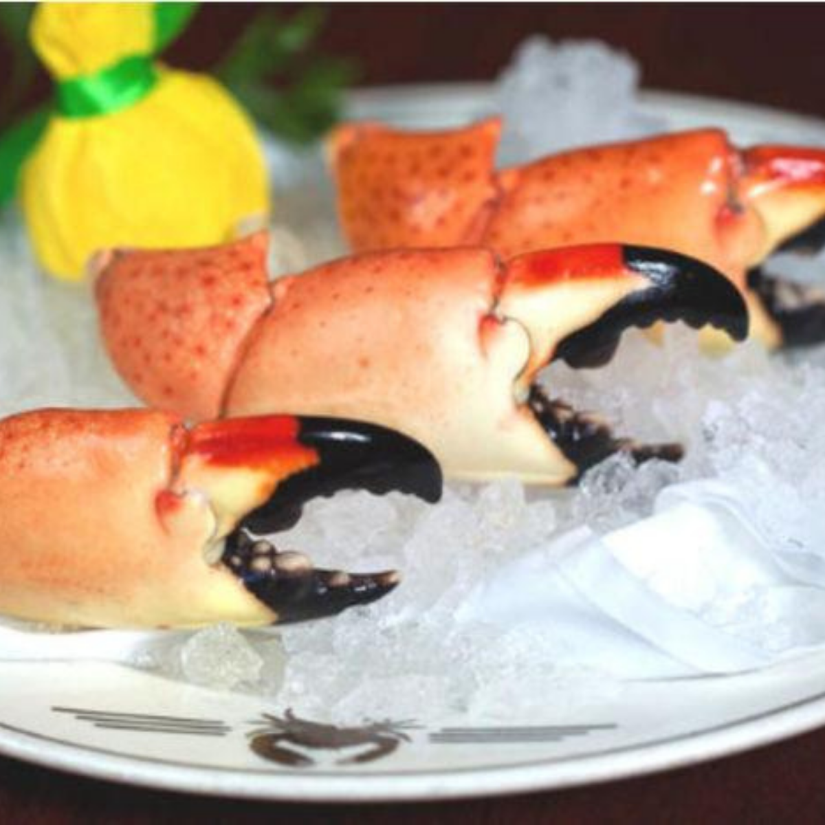 Florida Stone Crab Claws, Large – VNDR Shop